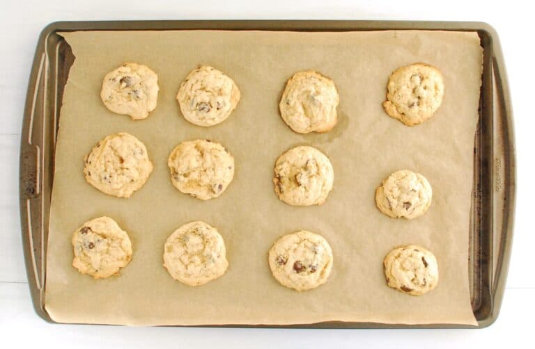 Maple Syrup Chocolate Chip Cookies - Dairy Free for Baby